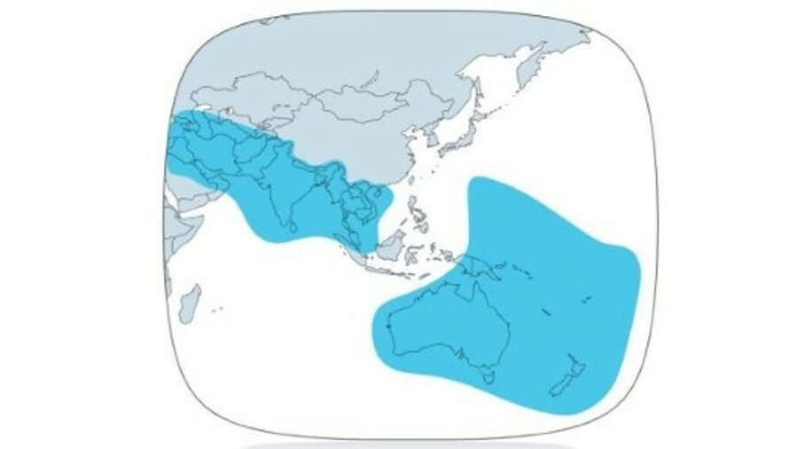 Riviera - News Content Hub - Asian maritime satcoms platform unveiled