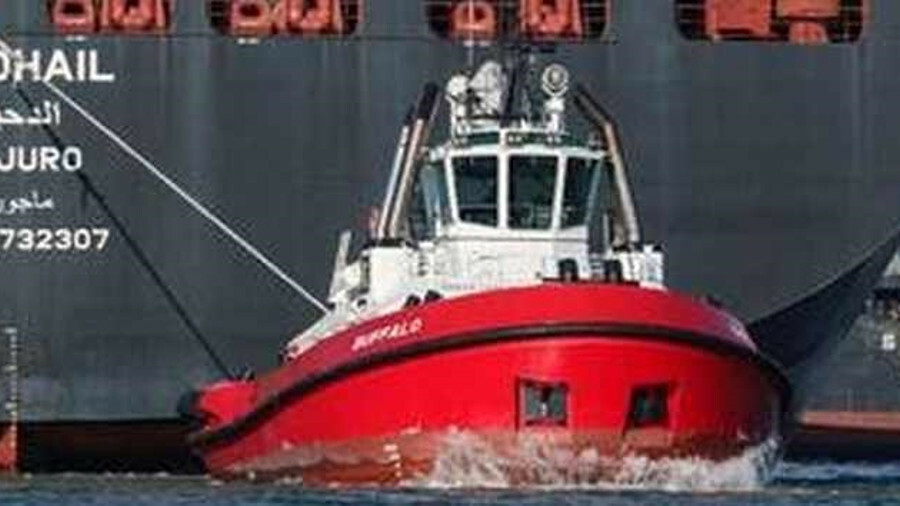 Riviera - Opinion - Buffalo stampedes into Southampton