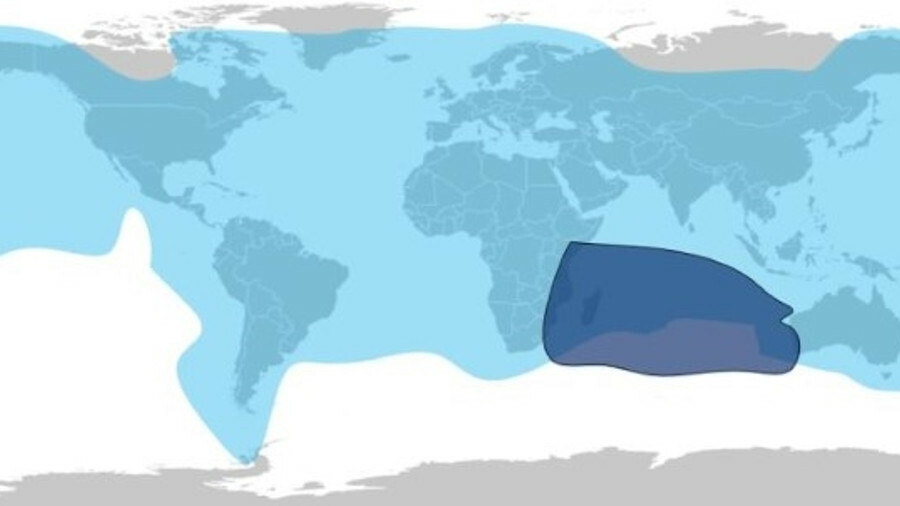 Riviera - News Content Hub - VSAT extended across Indian Ocean Riviera - News Content Hub - VSAT extended across Indian Ocean