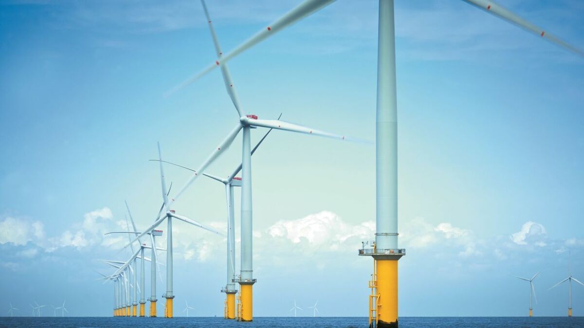 Riviera - News Content Hub - Graded approach to scour protection could ...