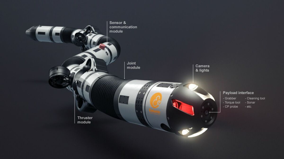 Riviera - News Content Hub - Resident robots drive paradigm shift in ...