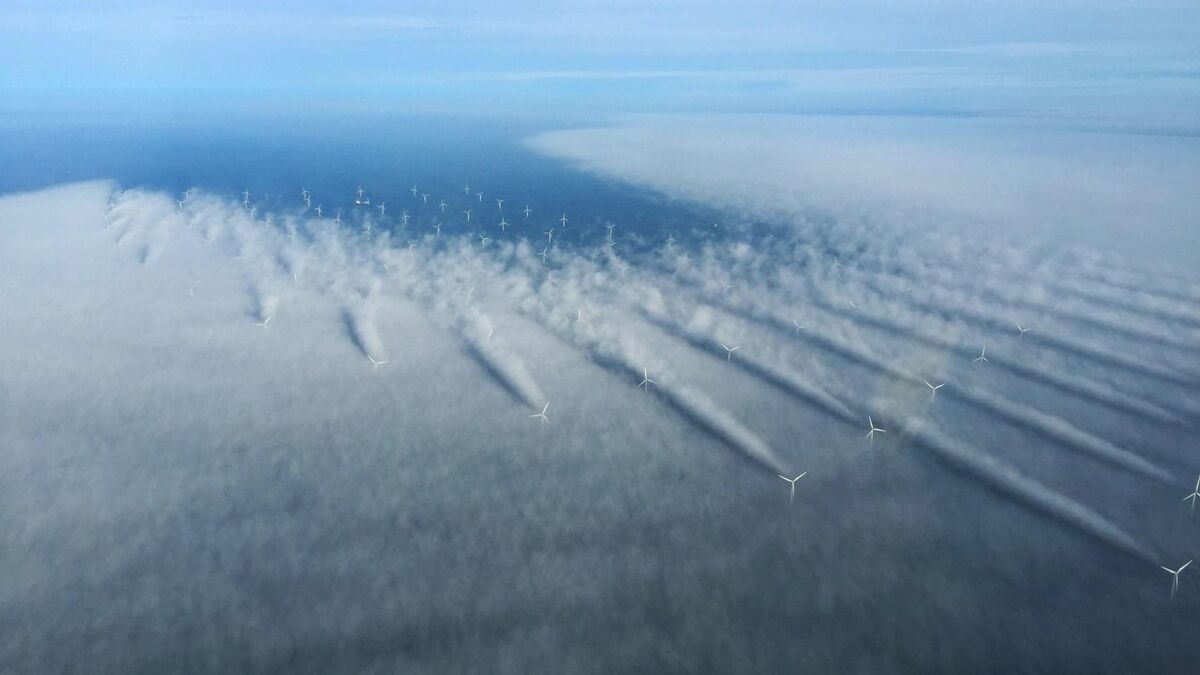 Riviera - News Content Hub - Understanding blockage will help industry ...