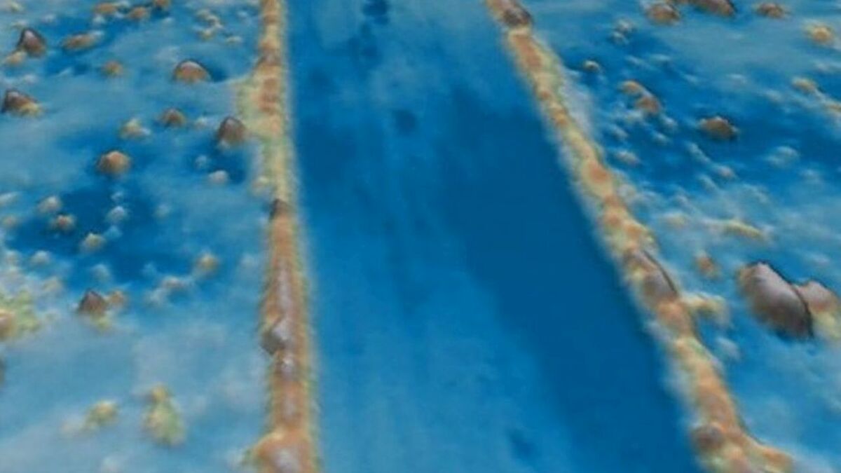 Riviera - News Content Hub - Oceaneering secures Moray East seabed ...