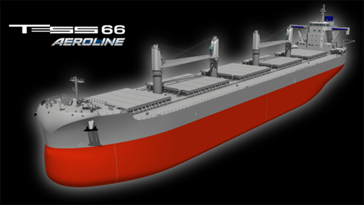 Riviera - News Content Hub - Tsuneishi Shipbuilding unveils new design ...