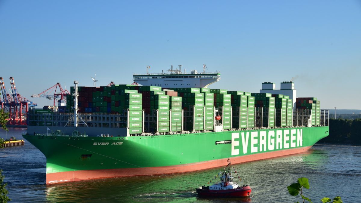 Riviera - News Content Hub - Historic ordering creates ‘banner year ...