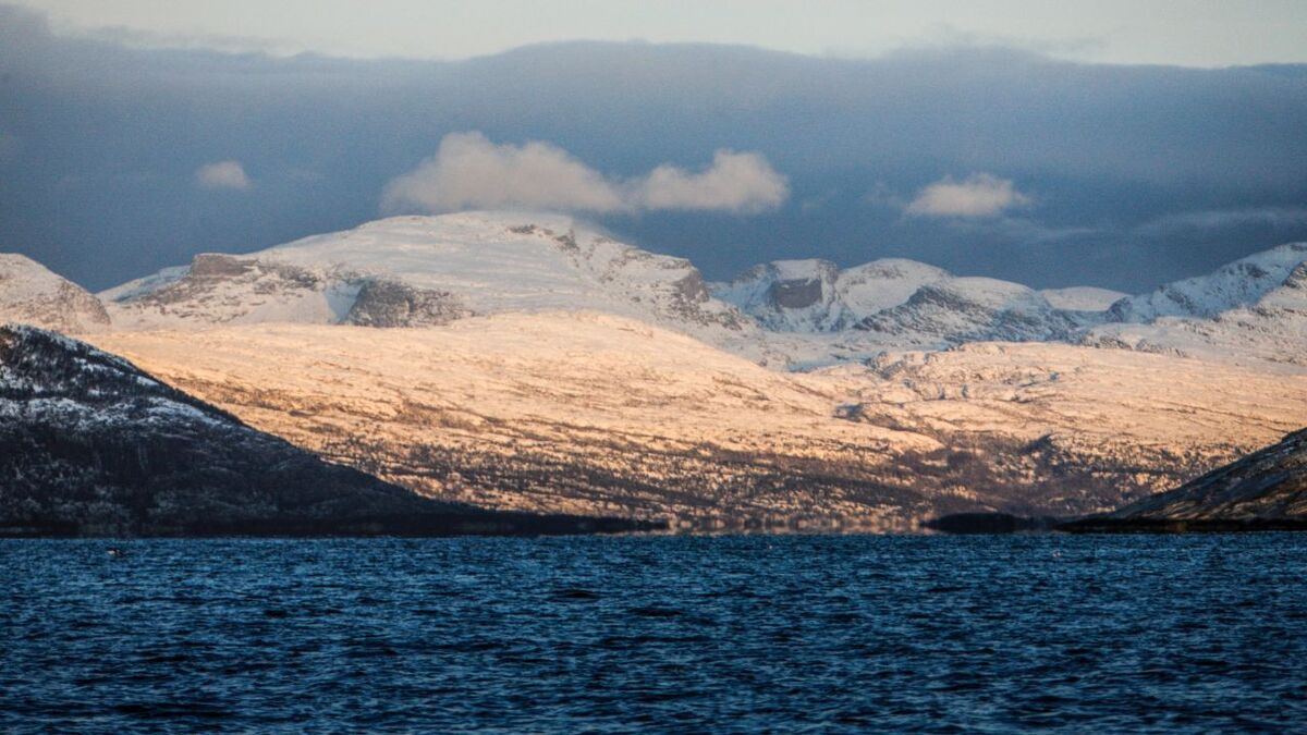 Riviera - News Content Hub - Torghatten Nord to operate new hydrogen ...