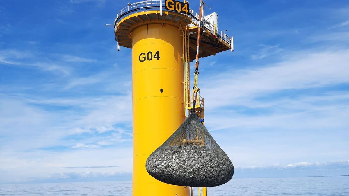 Riviera - News Content Hub - Belfast-based Ridgeway provides eco ...