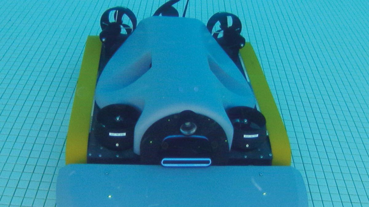 Riviera - News Content Hub - Clean Hull Initiative boosts innovative ...