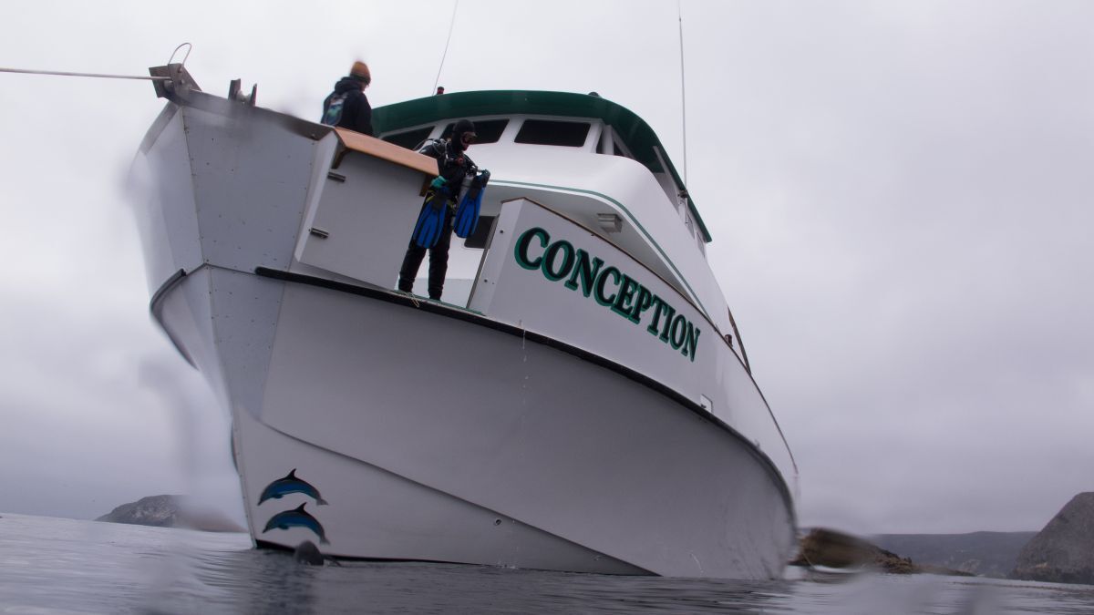 Riviera - News Content Hub - Passenger ships: the role of the safety ...