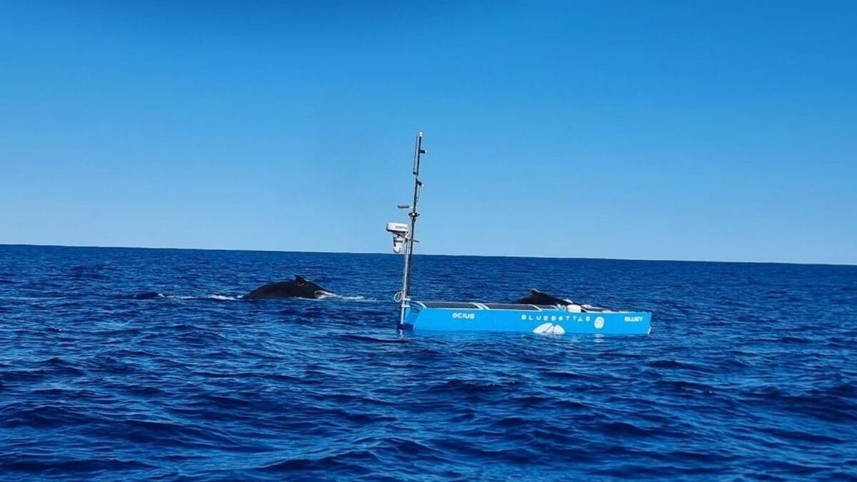 Riviera - News Content Hub - Aussies plan USV fleet to provide data for ...