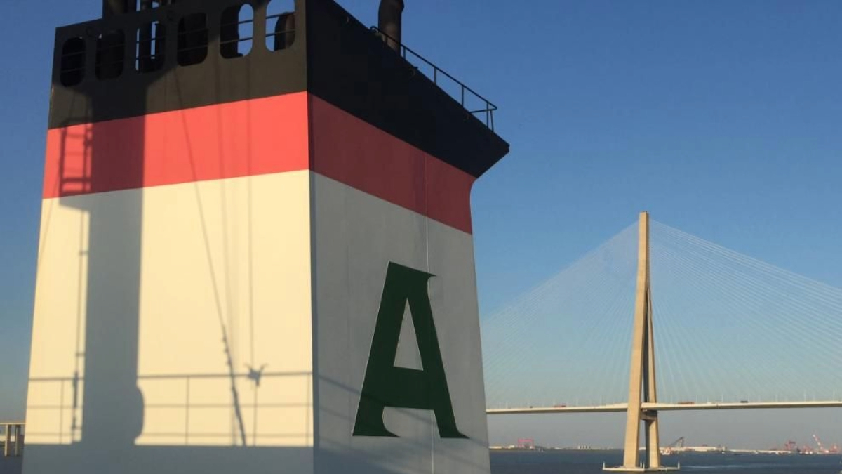 Riviera - News Content Hub - Vintage bulk carriers attract buyers as ...