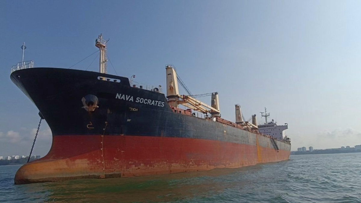 Riviera - News Content Hub - Competitively priced Chinese-built bulk carriers make strong ...