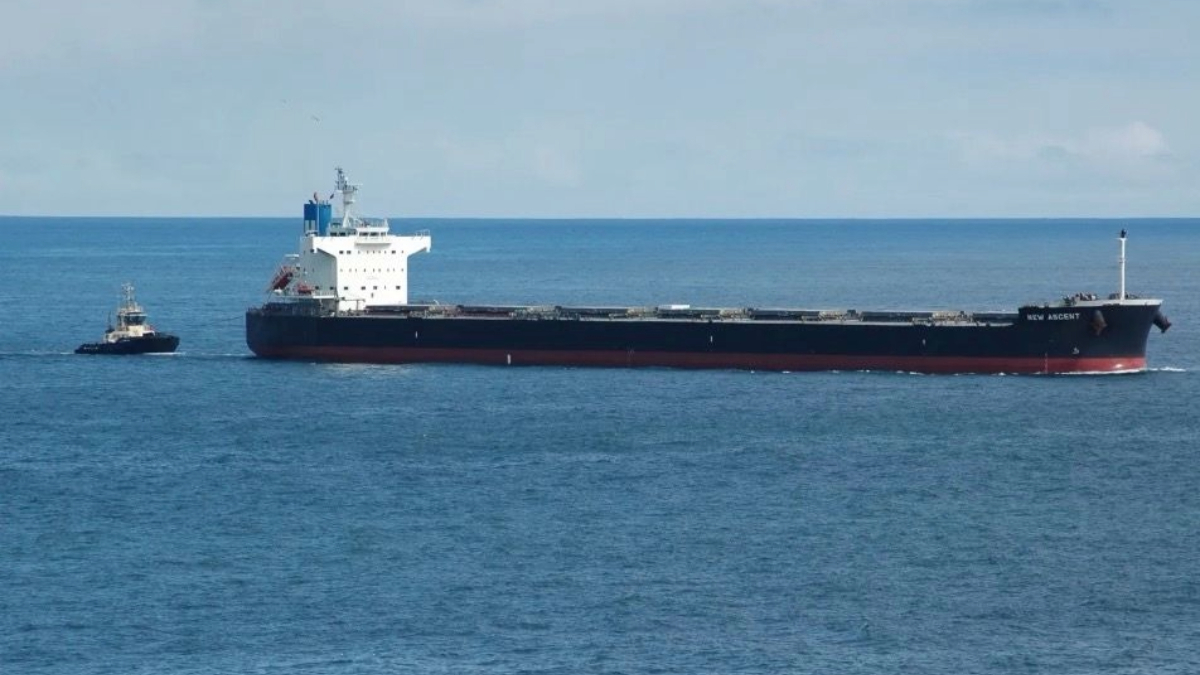 Riviera - News Content Hub - Greek owner Grid Shipping expands into ...